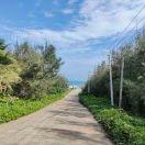 Successor抓娃娃 Review - DX3906的小宇宙 | 小宇宙 - 听播客，上小宇宙