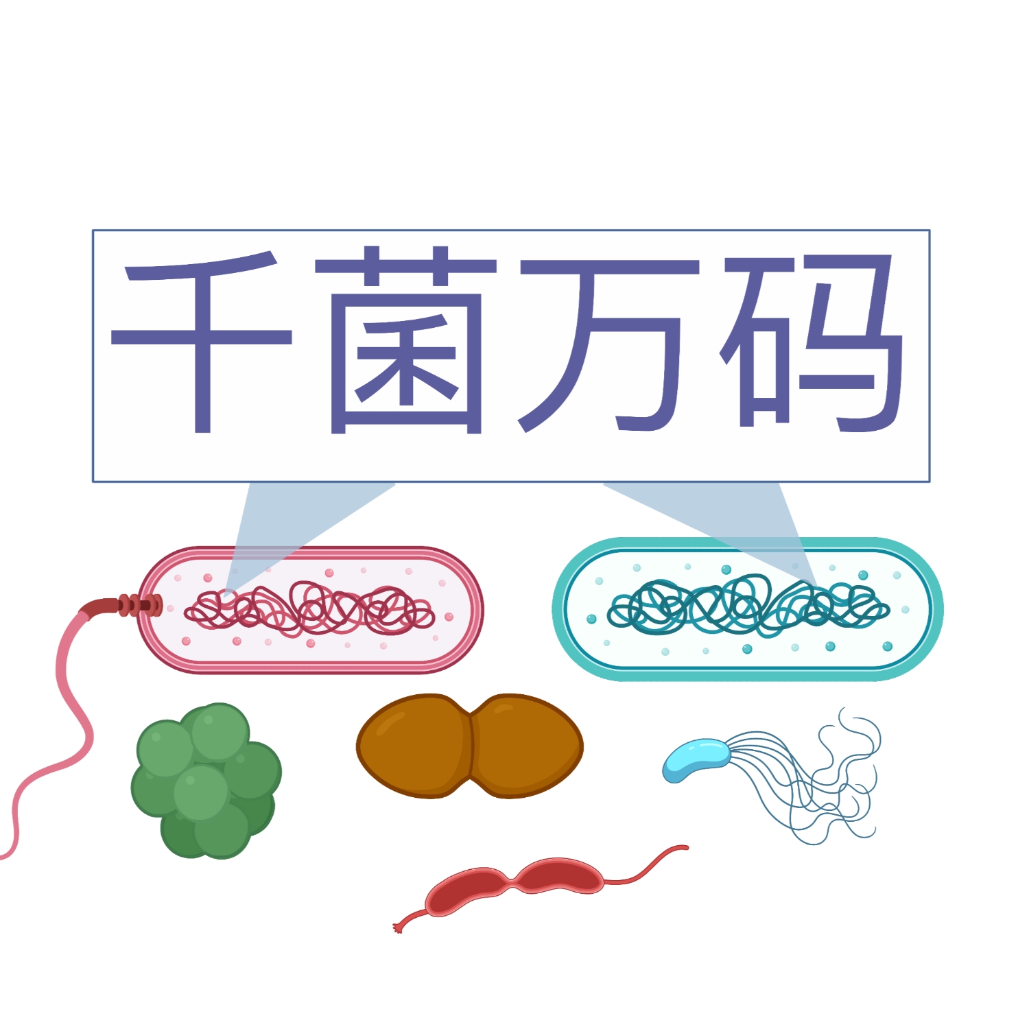 EP2: 使用hifiasm-meta进行高保真长读长测序的宏基因组组装 - 千菌万码 | 小宇宙 - 听播客，上小宇宙